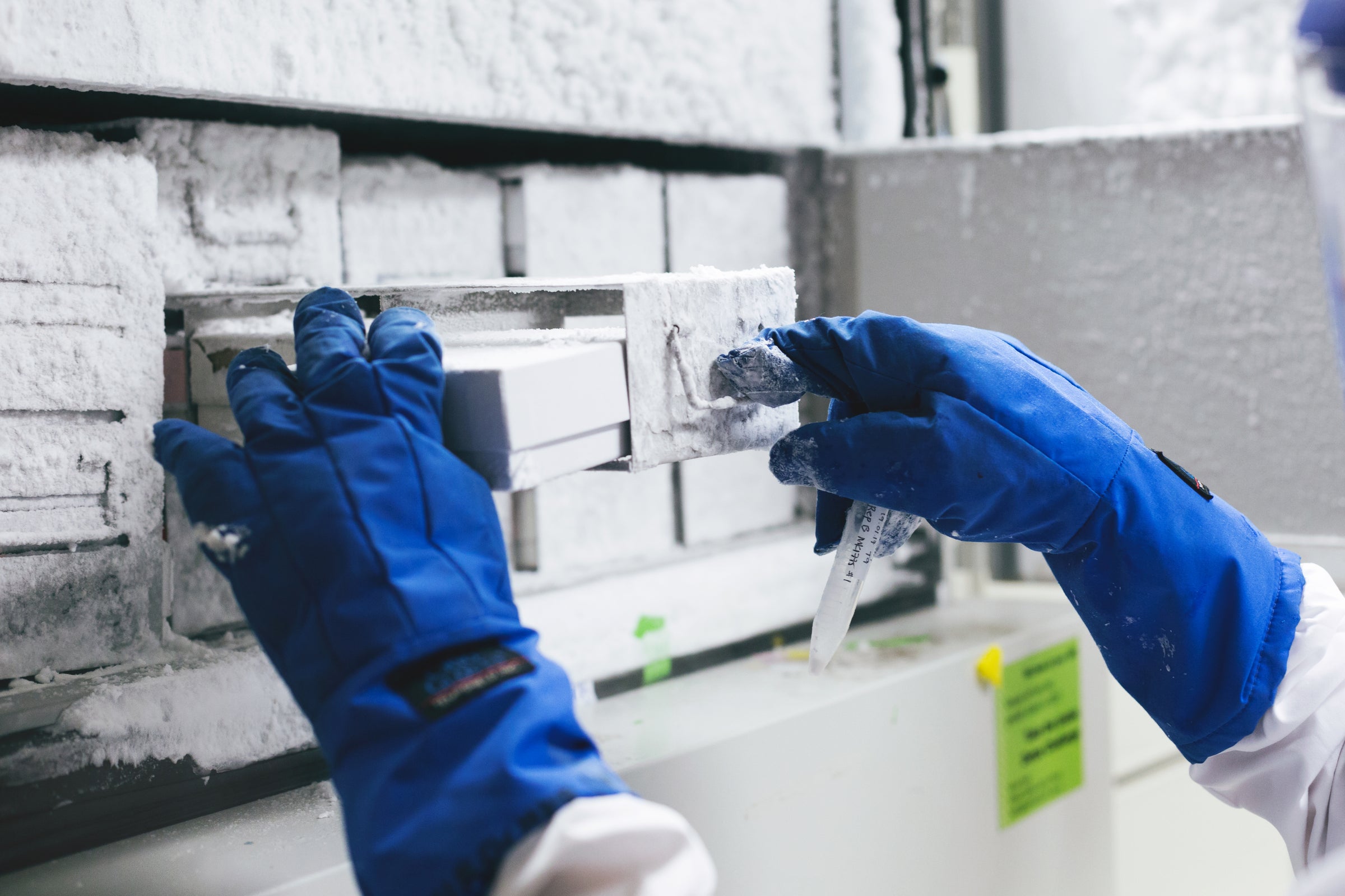 Cambridge Life Sciences